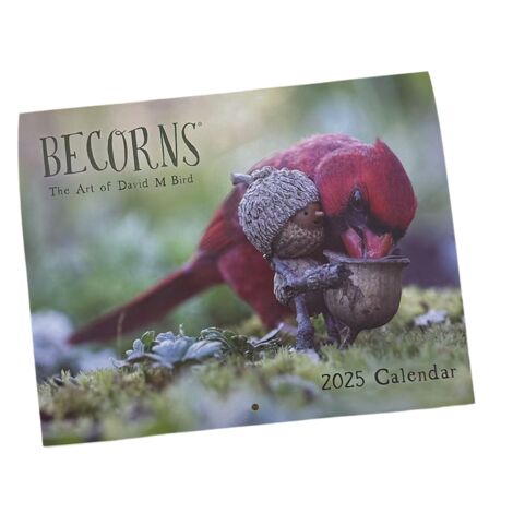 Becorns My Bird 2025 Calendar of Birds Funny Wall New Year Home Decoration
