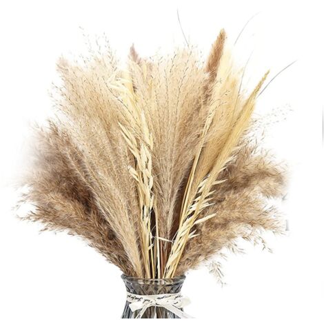 Natural Dried Pampas Grass,65Pcs Large Pampas Grass Decor Tall,Pompous ...