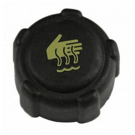 Car Radiator Expansion Water Tank Cap for Renault Clio Kangoo Laguna Megane