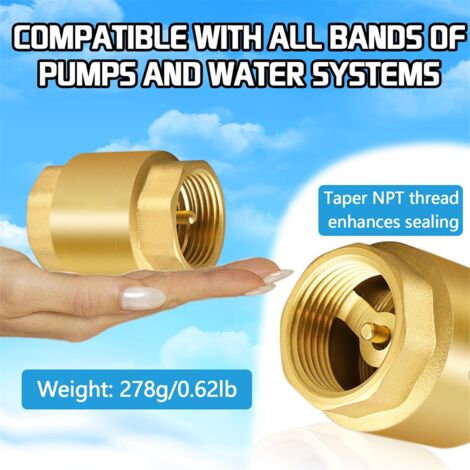 2PCS 1 Inch NPT Female Thread Spring Check Valve, Solid Brass Non ...