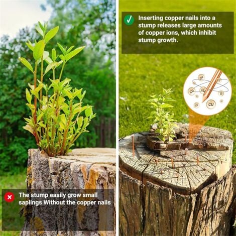 15 Pieces Copper Nails for Killing Tree Stump , 3.15 Inch with Drill ...