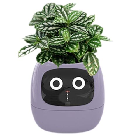 Ivy Smart Planter,USB Rechargeable Indoor Small Flower Pot