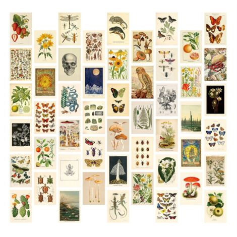 Vintage Aesthetic Wall Collage Kit - 50 Mini Art Posters (4X6Inch)
