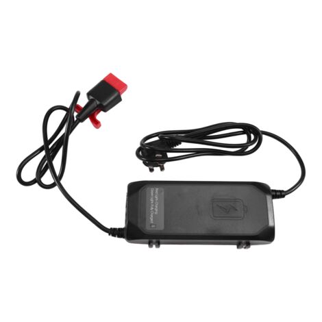 Gabelstapler-Teile, Lithium-Batterieladegerät ESCH24V5A 1120-670001-01 ...