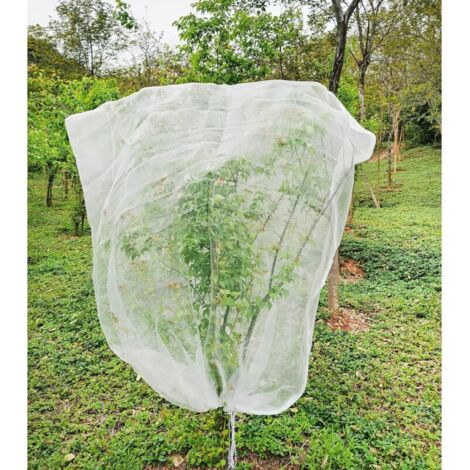 Red para árboles frutales de 1,8 m x 1,8 m, antiinsectos para plantas ...