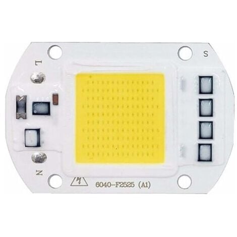 Puce COB LED 50W rectangulaire, entrée AC 220 V, lampe pilote IC intelligente intégrée, pour ...