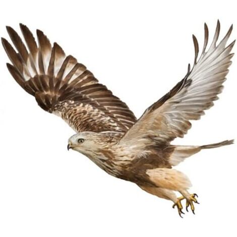 SHINING HOUSE 23cm x 18.5cm Flying Eagle Sticker,3d Eagle Animal Car ...