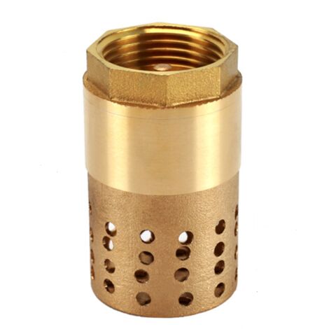 Ahlsen 1 inch pump check valve - foot valve check valve (1 inch)