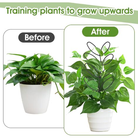 Ahlsen 2er-Set Topfpflanzen-Rankgitter für Pflanzen, praktische kleine ...