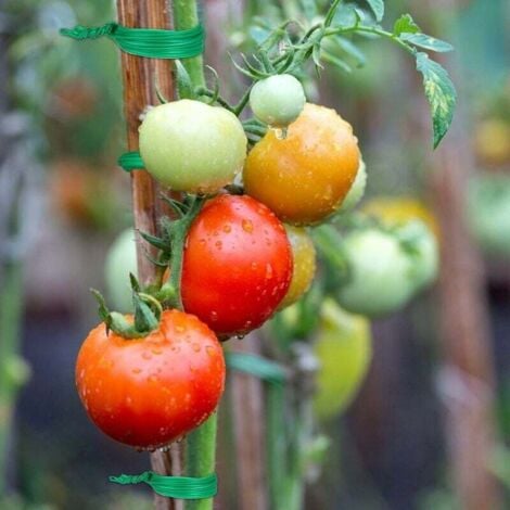 Lazos para plantas de jardín Corbata de alambre multifuncional para ...