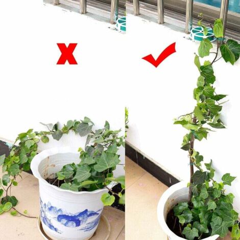 Lazos para plantas de jardín Corbata de alambre multifuncional para ...