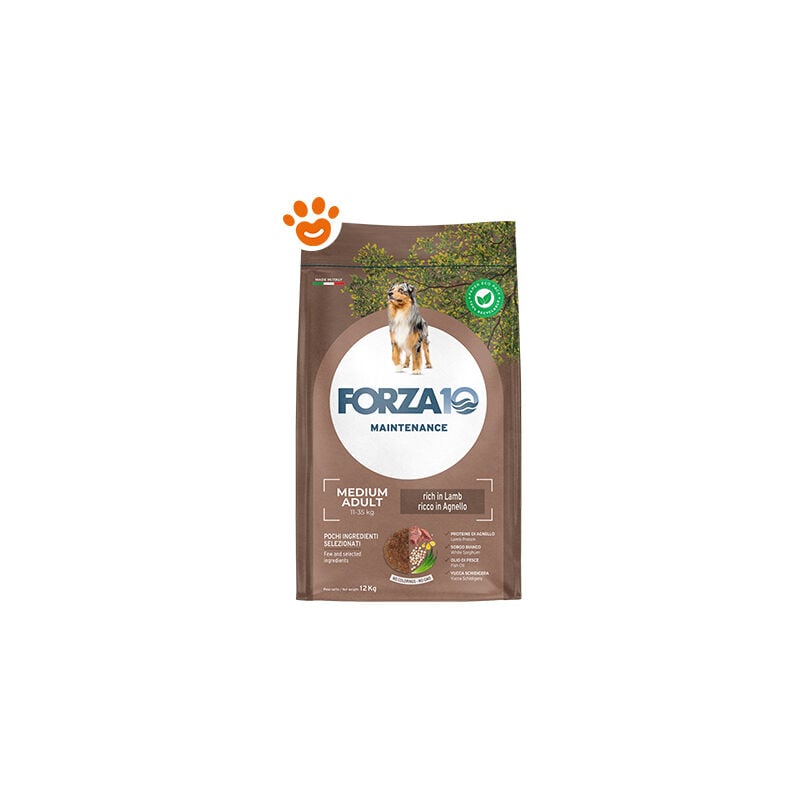 Forza10 Dog Maintenance Medium Maintenance Agnello e Riso - Forza10 Dog Maintenance Medium ...