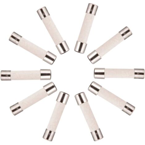 10x Fusible Temporisé (T) en céramique 10A / 250VAC 5x20mm