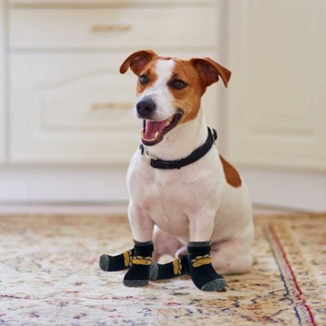 Non slip dog socks store