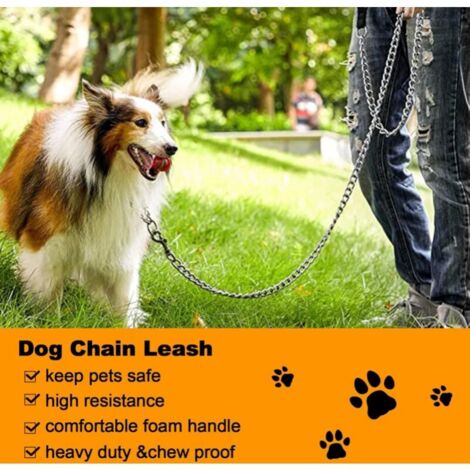 Metal chain dog leash store