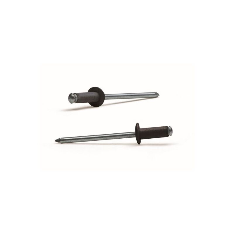 Remache Flor Ø 4,8 X 21 Alu/Ac L. Negro 9005 250 Pz