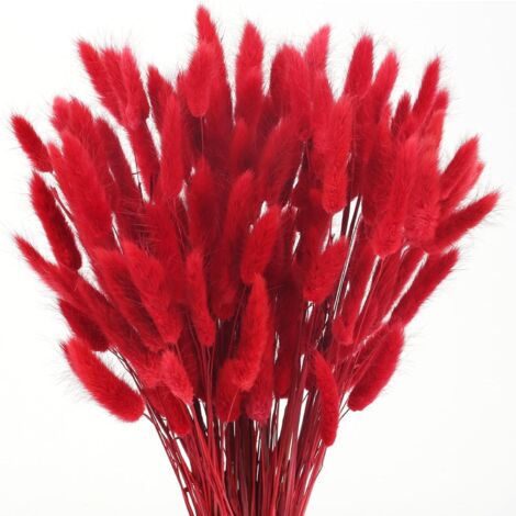 120 flores secas de hierba de pampa roja, naranja, decoración de pampa ...