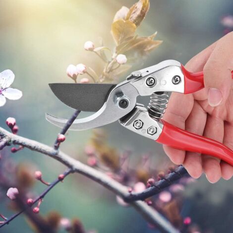 Garden Pruning Shears Agricultural Scissors Hand Tools for Fruit Tree ...