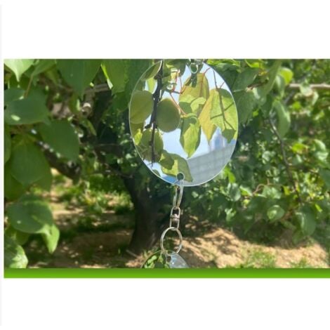 Anti Bird Reflective Disc to Keep Birds Away - Effective Bird Deterrent ...