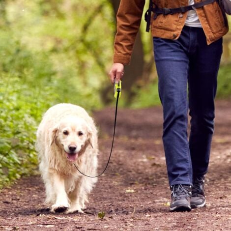 Meters Retractable Dog Leash with Comfortable Handle Flexible Dog Leash for Small Medium Large Dogs Retractable Dog Leash for Walking and