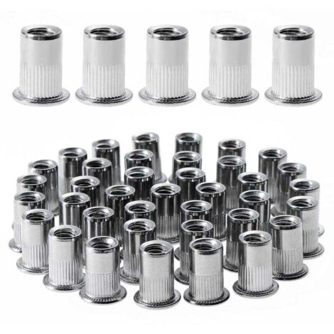 (12mm×15mm)100pcs M6 Flat Head Threaded Rivet Nut,Stainless Steel ...