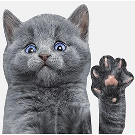 CSPARKV （28×30×0.1cm）Cat Car Window Stickers,Funny Car Window Stickers ...