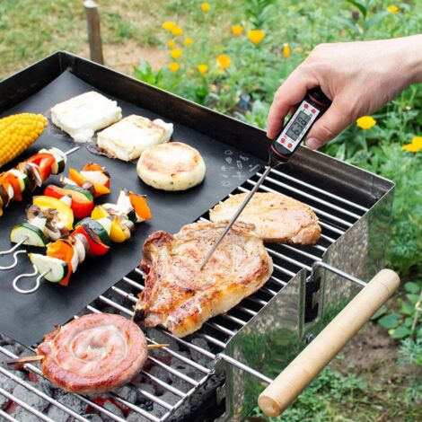 CSPARKV 2x Meat Thermometer - Food Kitchen Probe for Precise Cooking ...