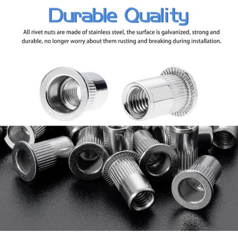 100 Stück M8 Edelstahl-Nietmutter mit flachem Kopf, Nietmutternkappe ...