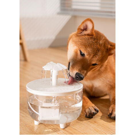 Katzenwasserspender mit Filter, automatischer Wasserspender für Katzen und Hunde, ultraleiser ...