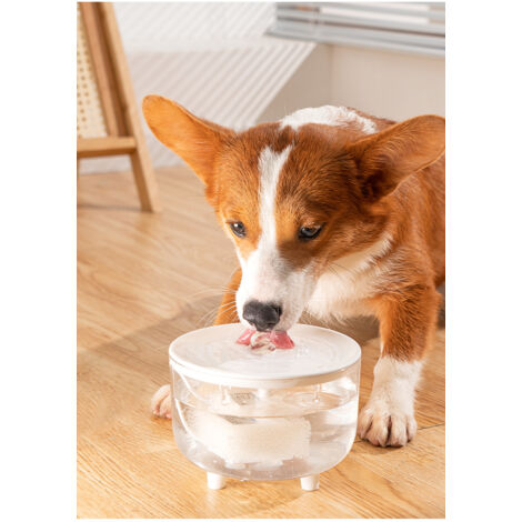 Katzenwasserspender mit Filter, automatischer Wasserspender für Katzen und Hunde, ultraleiser ...