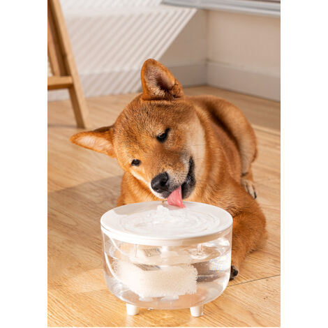 Katzenwasserspender mit Filter, automatischer Wasserspender für Katzen und Hunde, ultraleiser ...