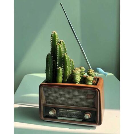 Maceta con forma de radio, jardineras de resina para suculentas ...
