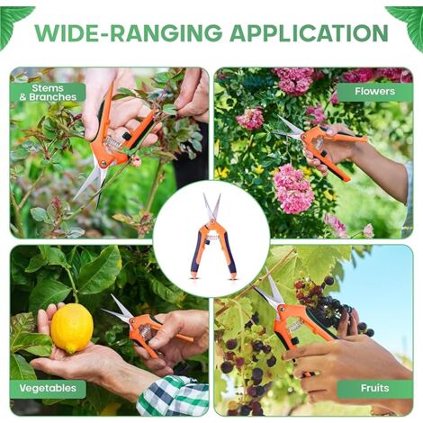 Tijeras de podar de hoja recta de 6,5 pulgadas, tijeras de jardín de precisión con hojas de ...