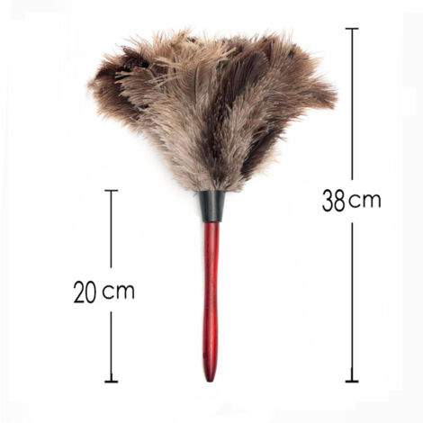 Multifunctional Handheld Duster with Handle for Home and Car Cleaning ...
