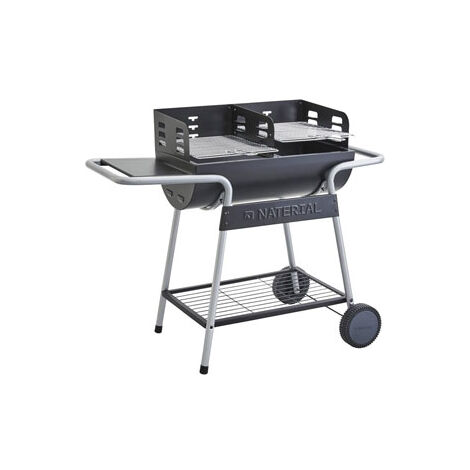 Barbecue à charbon noir - Barbecook - ARENA