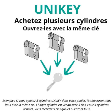 Lot de 30 verrous à bouton Corvette UNIKEY (achetez-en plusieurs ...