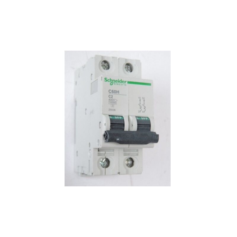 Disjoncteur 2A 2P courbe C 10kA bornes vis C60H SCHNEIDER 25036