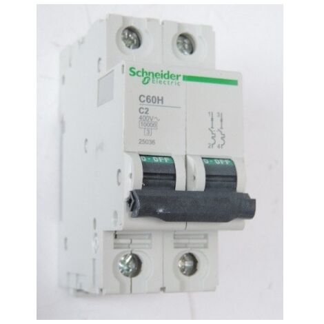 Disjoncteur 2A 2P courbe C 10kA bornes vis C60H SCHNEIDER 25036