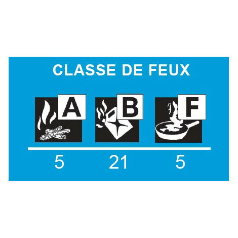 Spray anti feu 600ml – Pression permanente – Pour feux solides ...