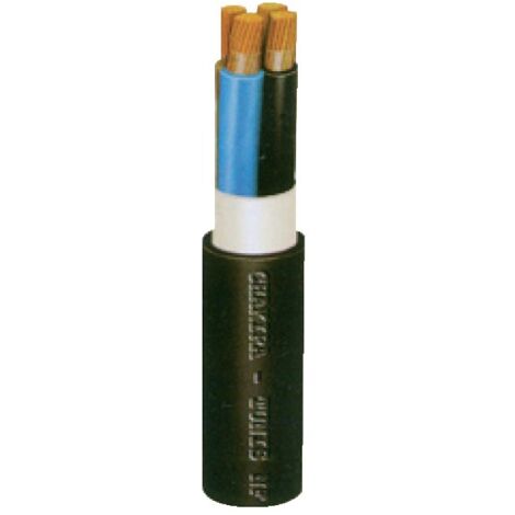 Câble R2V - RCT Câbles - 2x10mm² - Couronne 50ml