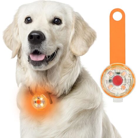 Luz LED intermitente de seguridad para perros (amarilla) y gatos: luz ...