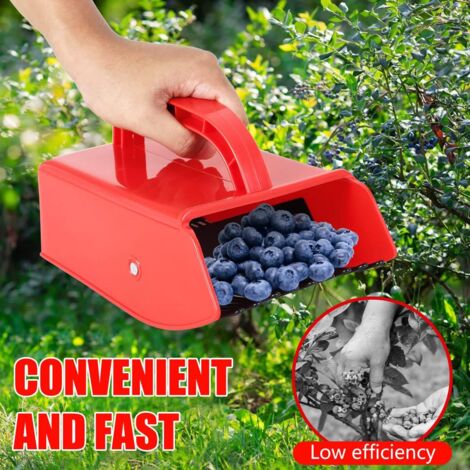Heidelbeerkamm Beerenpflücker mit Metallkamm Obstpflücker für ...