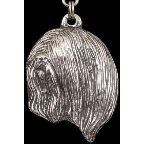 Lhasa Apso: un collar con un perro en una caja de regalo, un medallón ...