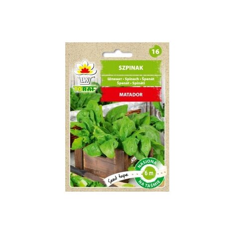 Espinacas Matador semillas de espinacas vegetales fértiles