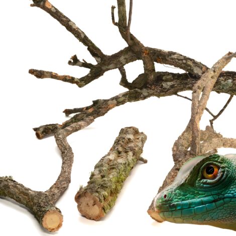 Rama de alcornoque BioBranch de 50 cm, recta o ramificada