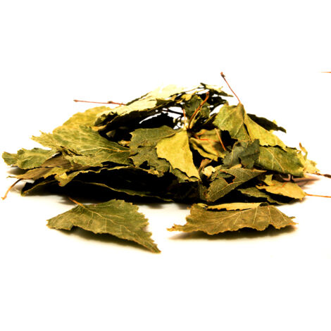Hojas de tilo 1 kg