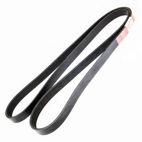 CORREA ACANALADA PK 6PK1810