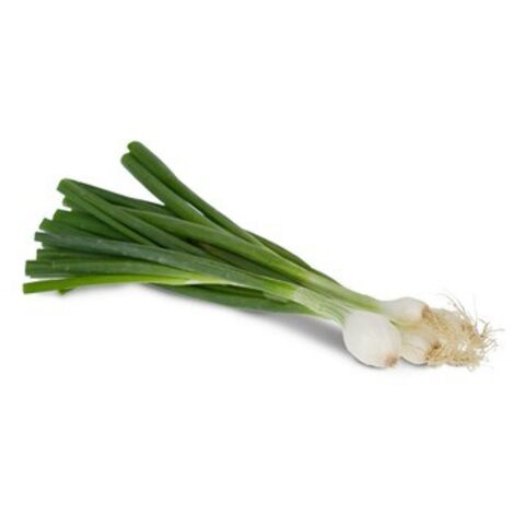 Cebolleta polaca - Manojo 150 g - Fresca y aromática