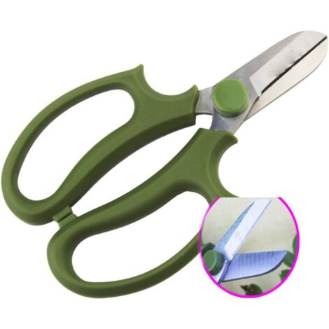 flower branch, floral art scissors, florist, gardening, flower ...