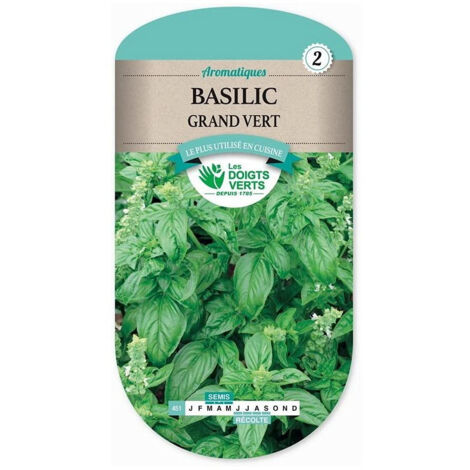 Basilic Grand Vert Semences